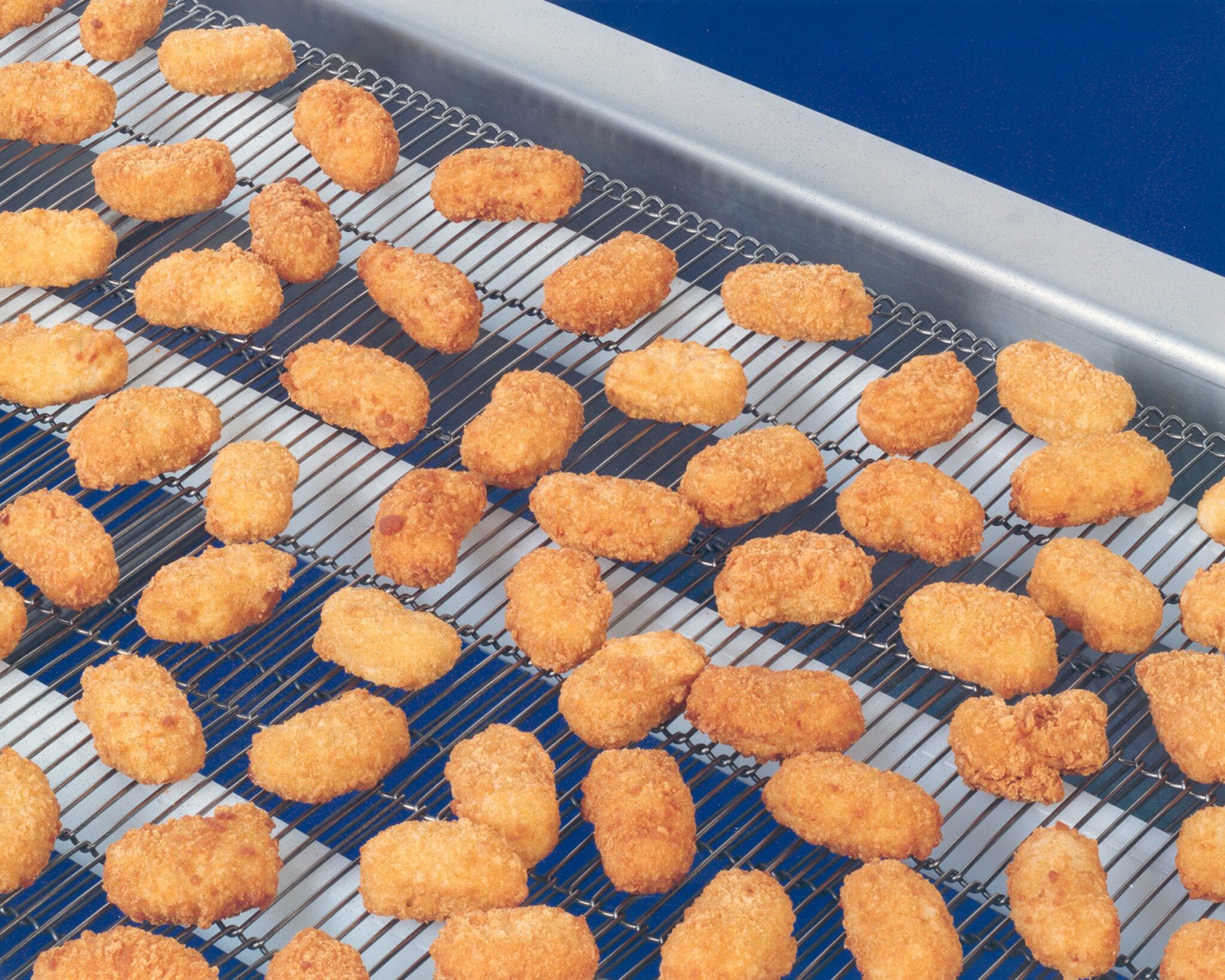 Flat-Flex® es la banda transportadora más ligera e higiénica de la ...